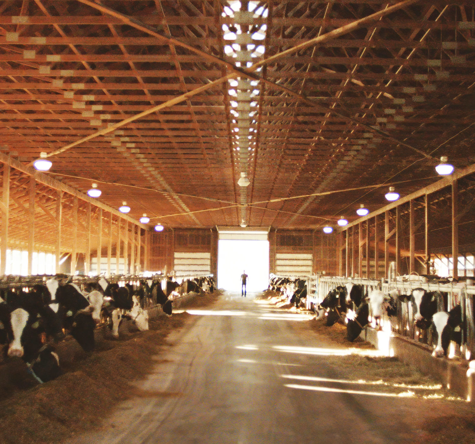 proAction® Livestock Traceability - BC Dairy