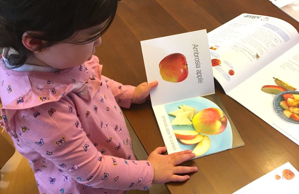 Little Food Explorers.: Nutrition Education Workshop - BC Dairy