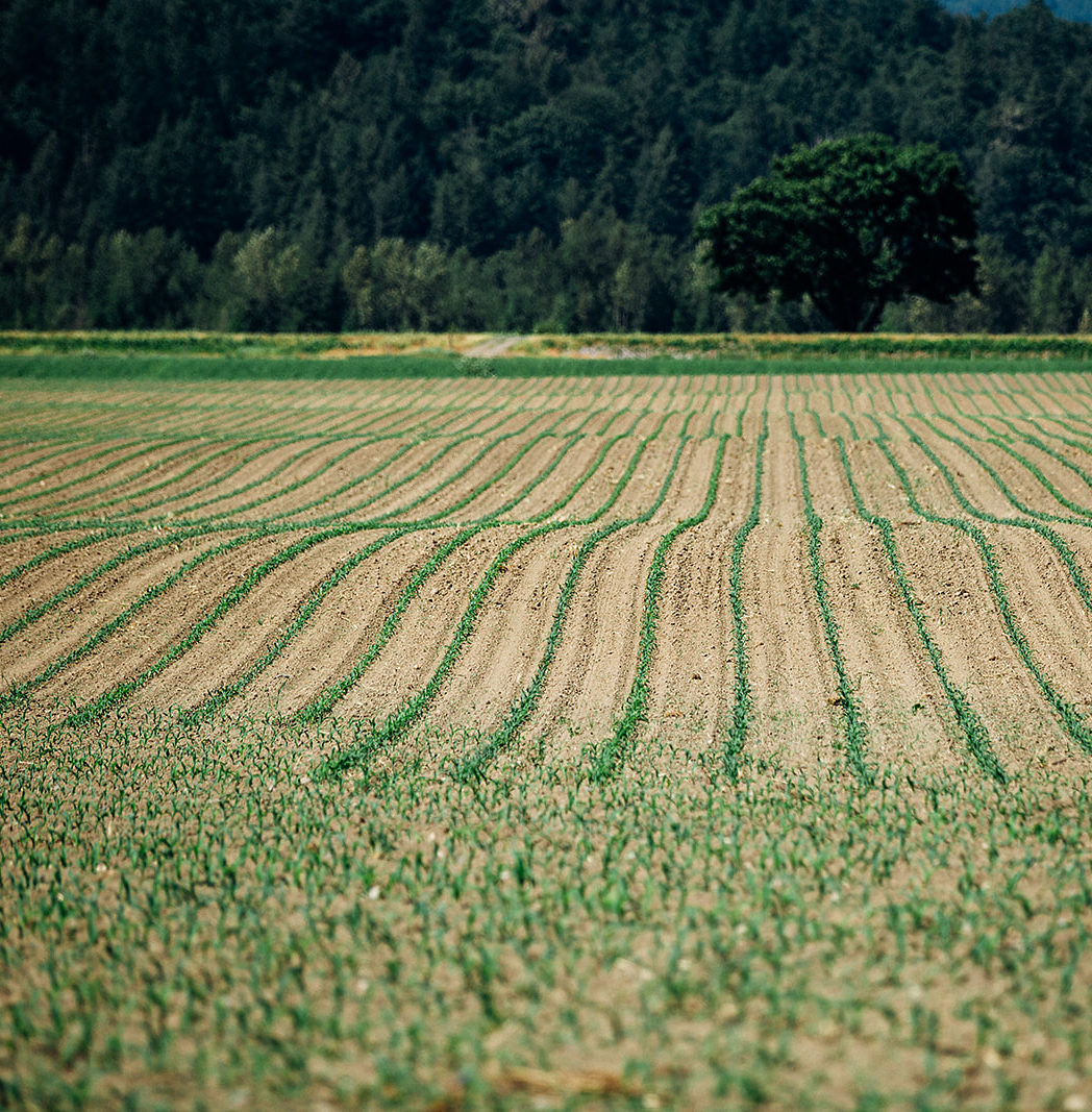 proAction® Environment - BC Dairy