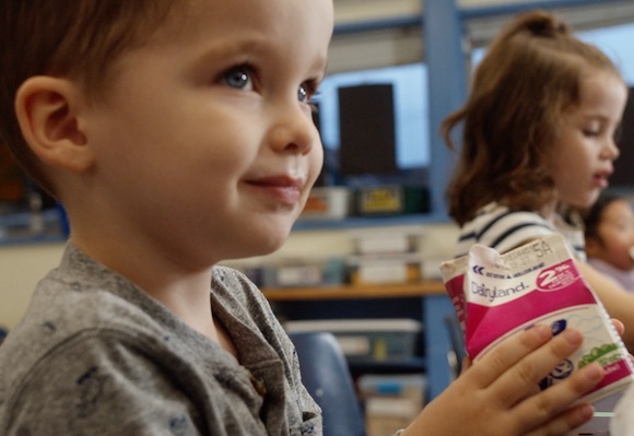 School Milk Home - BC Dairy